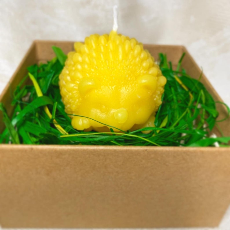 Pure Bees Wax Hedgehog Candle. Handmade Animal Shape Gift for Nature ...