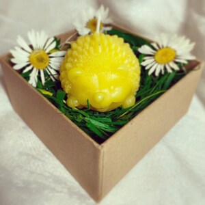 Pure Bees Wax Hedgehog Candle. Handmade Animal Shape Gift for Nature ...