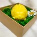 Pure Bees Wax Hedgehog Candle. Handmade Animal Shape Gift for Nature ...