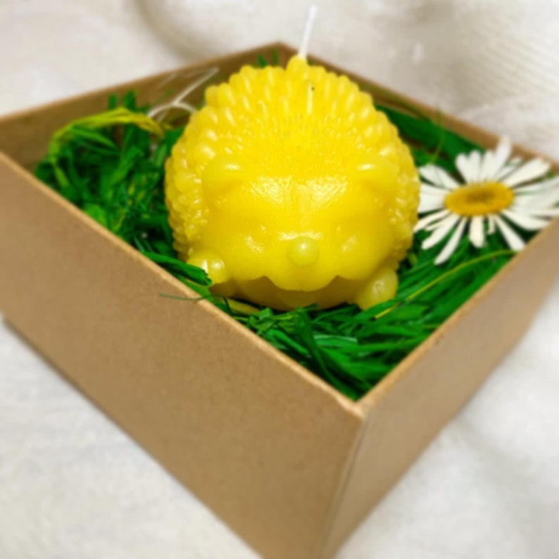 Pure Bees Wax Hedgehog Candle. Handmade Animal Shape Gift for Nature ...
