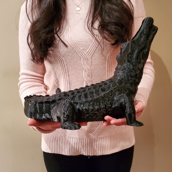 Taxidermy Alligator - Etsy