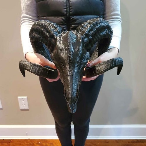 Life-size Troll Skull - Etsy