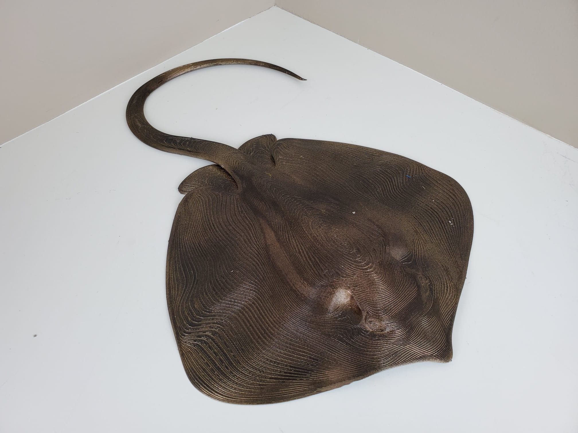 Ancient Metal Color Stingray Hand Painted Wall Mount Trophy - Etsy