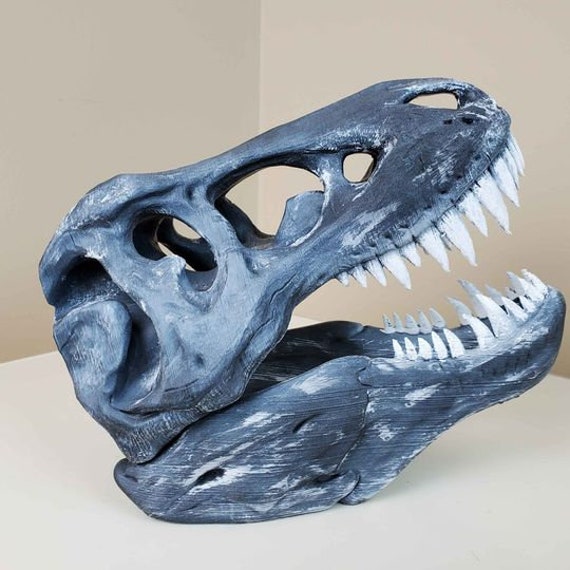 Large T-Rex Skull Wall Mount in Hand-Painted Brushed White on | Etsy