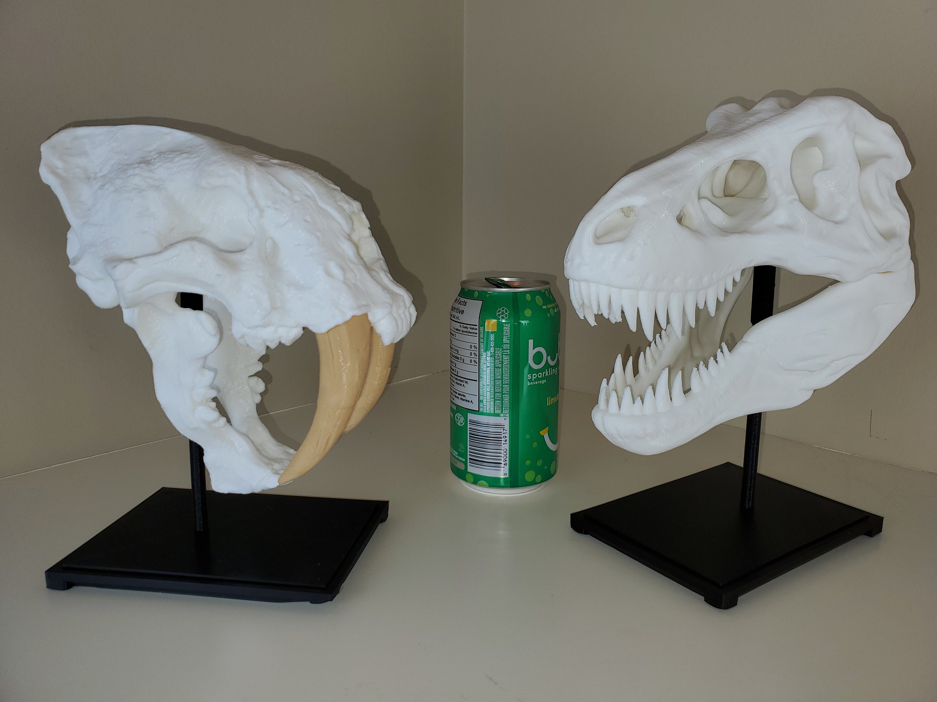 Saber Tooth Tiger Vs T Rex