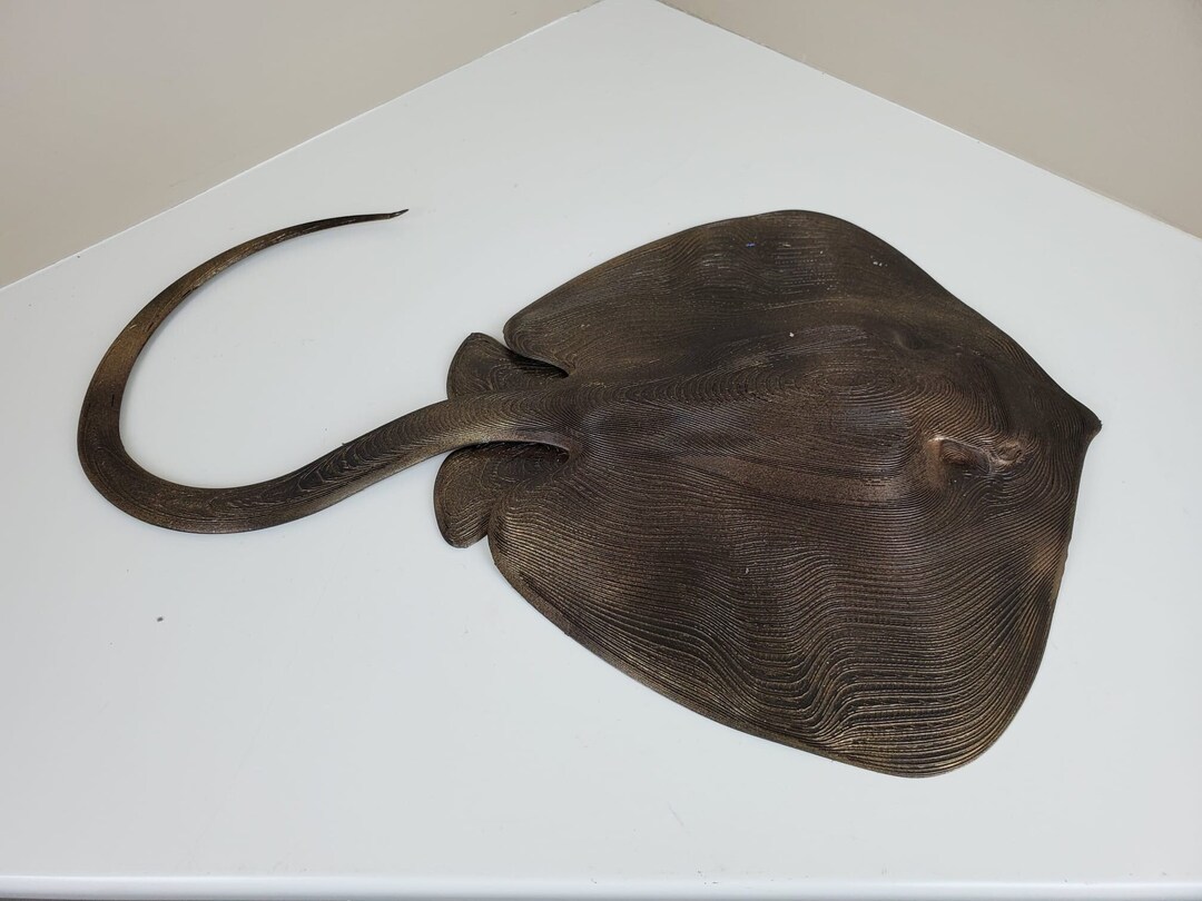 Ancient Metal Color Stingray Hand Painted Wall Mount Trophy - Etsy
