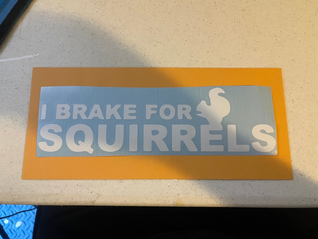 I Brake for Squirrels Vinyl Decal - Etsy