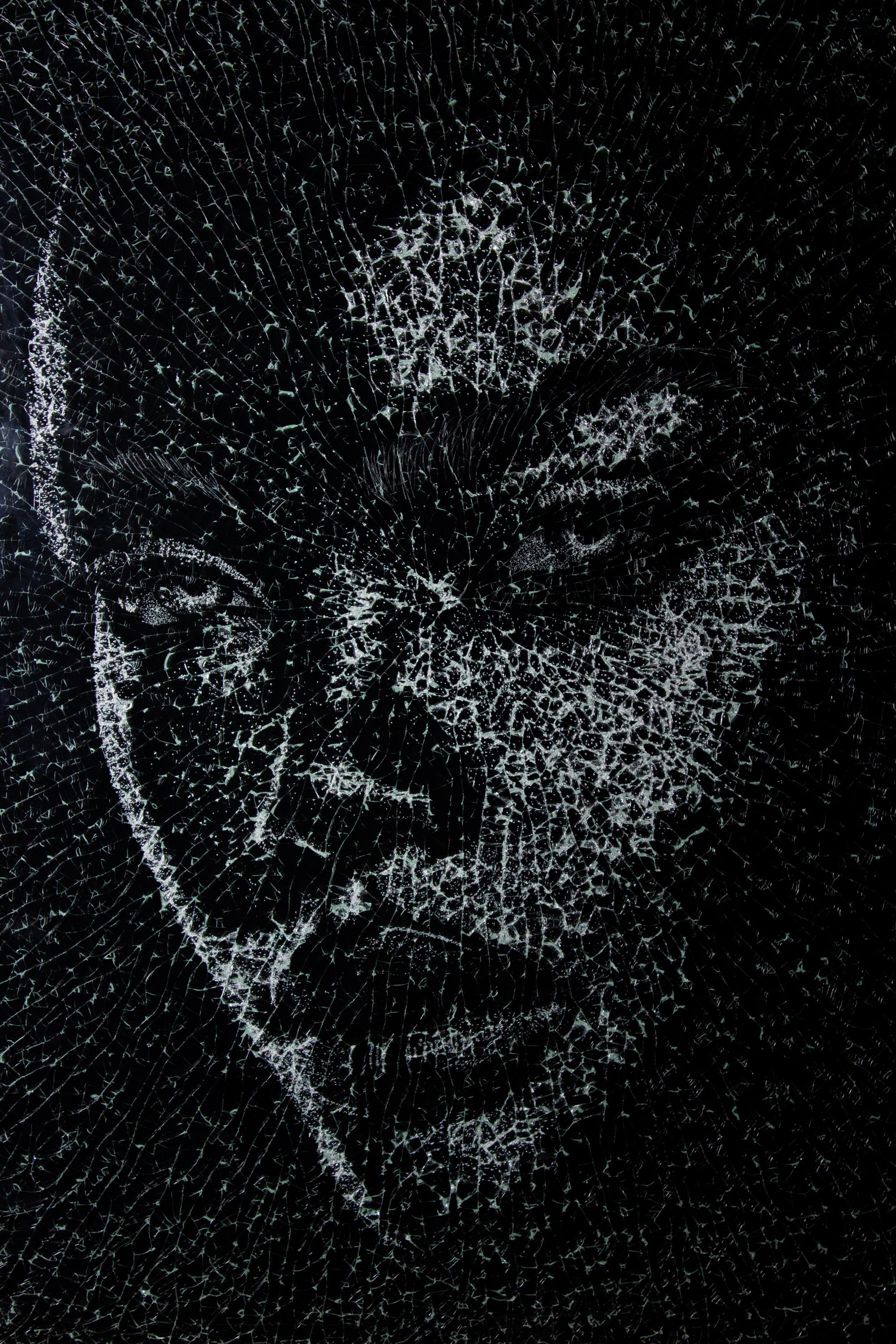 Broken Glass Face Art – Original Shattered Glass Portrait – Modern Wall ...