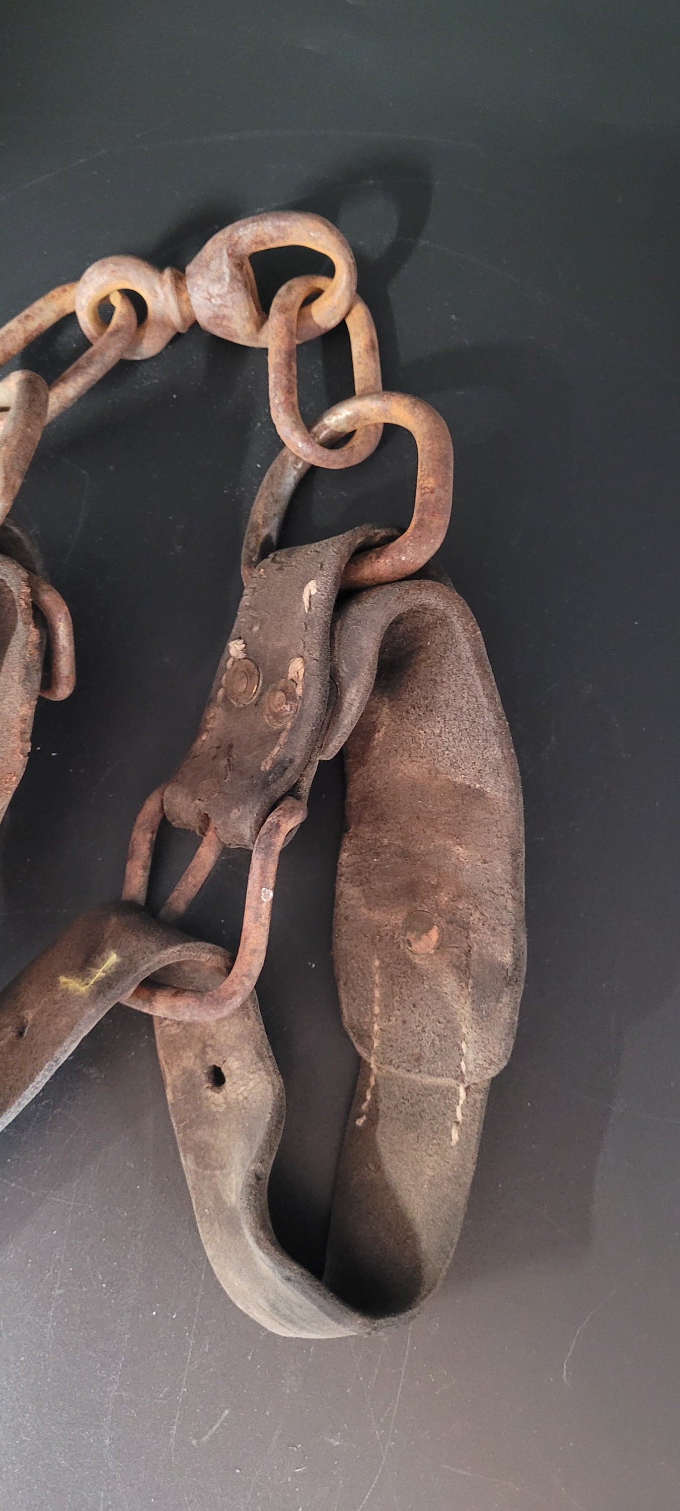 Leather and Steel Chain Horse Tack, Leather and Steel Chain Safety ...