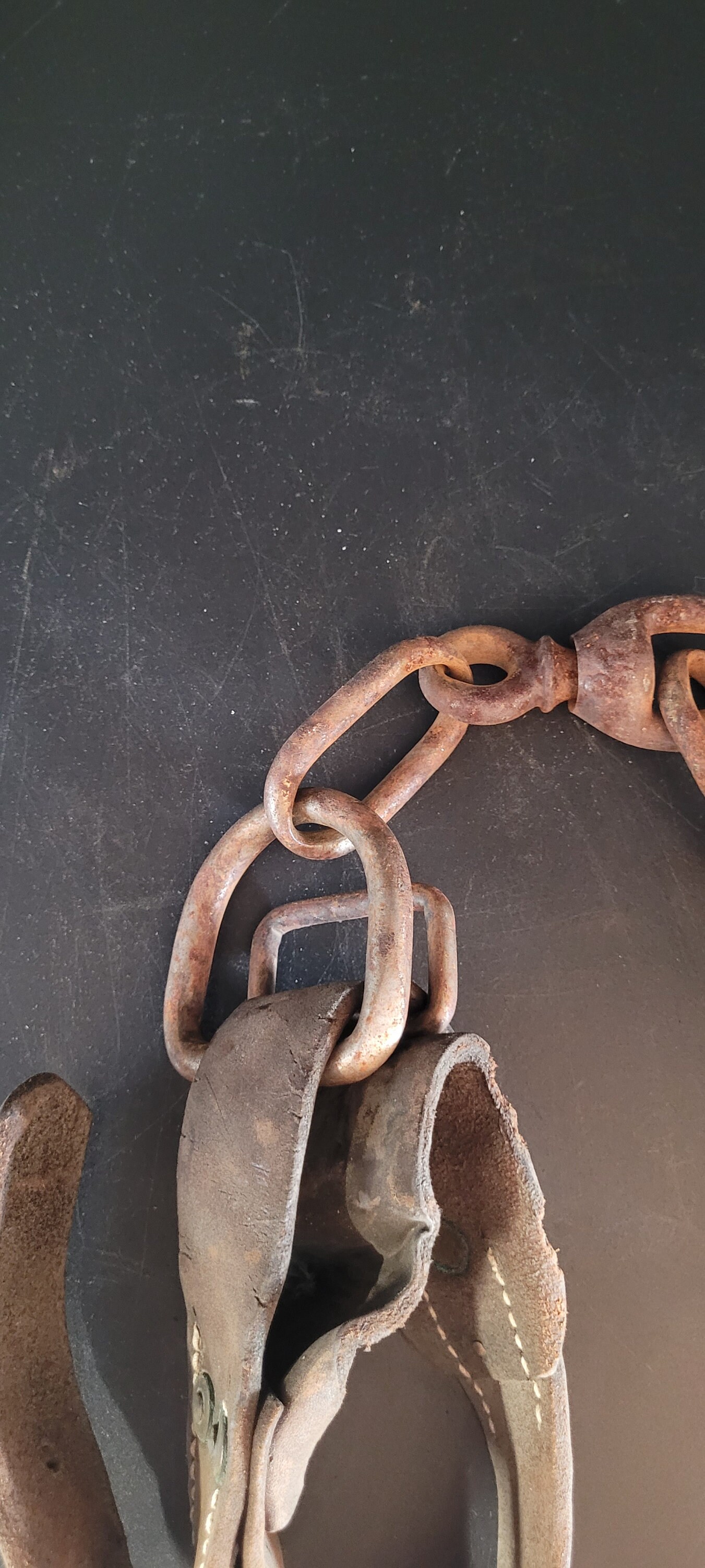 Leather and Steel Chain Horse Tack, Leather and Steel Chain Safety ...