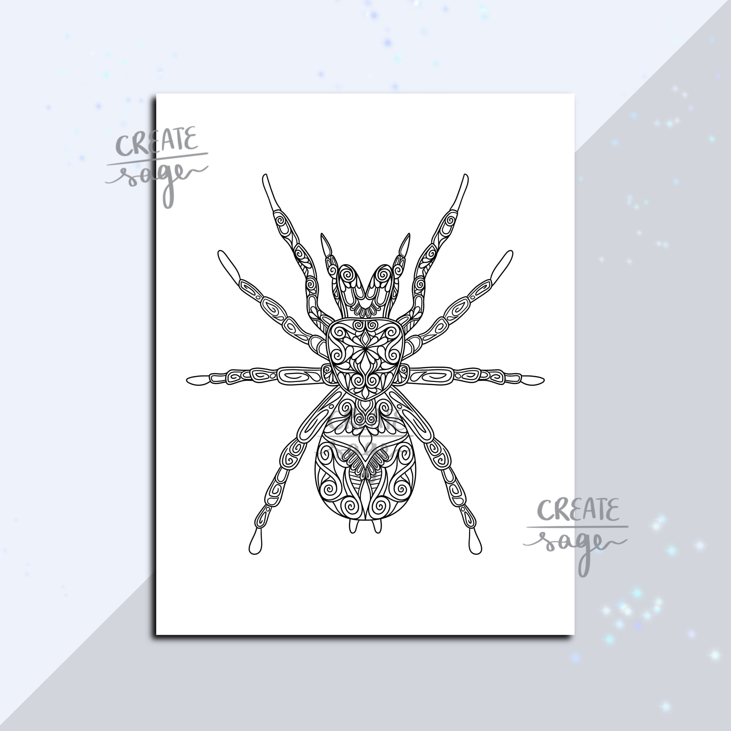 Printable Digital Spider Colouring Page for Adults, Magical Mandalas ...