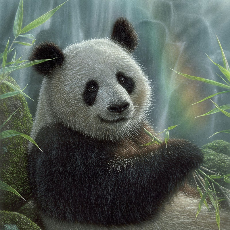 Panda Painting - Etsy