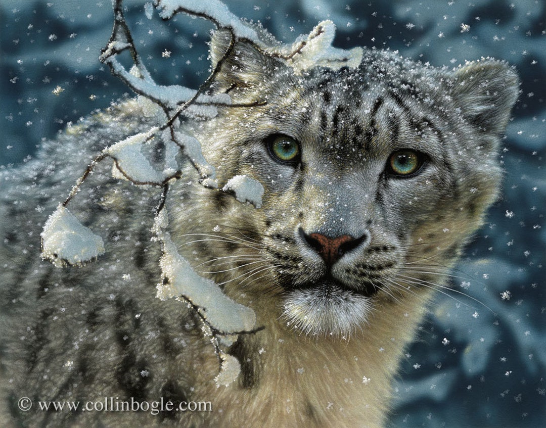 Snow Leopard Print, Snow Leopard Painting, Big Cat, Wildlife Art ...