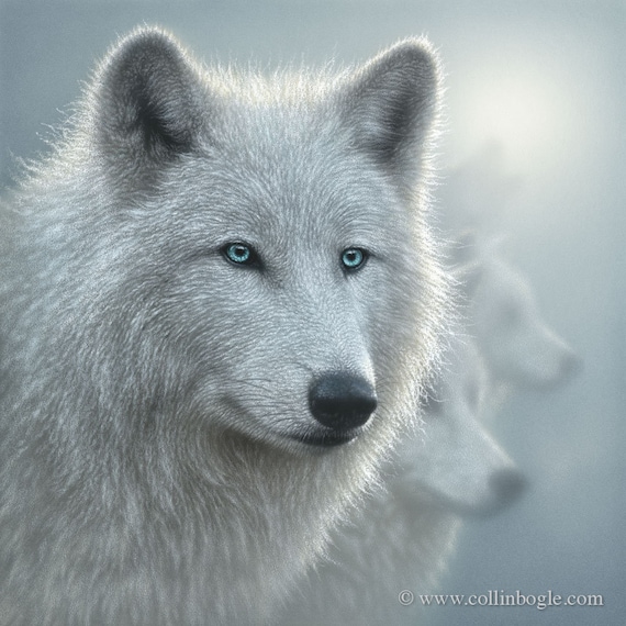 White Wolf Paintings