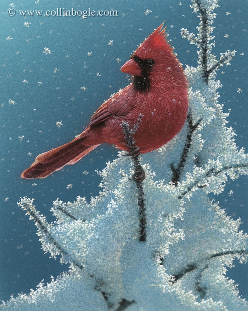 Winter Cardinal Painting, Cardinal Bird Print, Cardinal in Snow, Bird ...