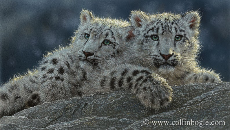 Snow Leopard Art Print, Snow Leopard Painting, Leopard Cubs, Nursery ...