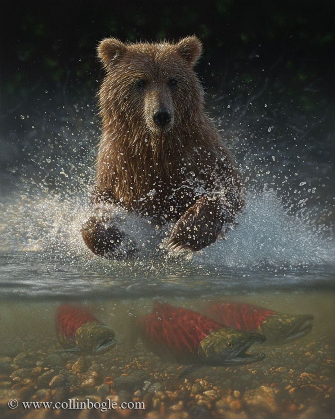 Bear Art Print, Brown Bear Painting, Grizzly Bear Fishing, Wildlife Art ...