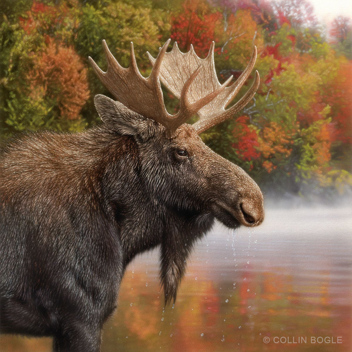 Moose Art, Bull Moose Painting, Wildlife Art Print, Animal Artwork ...