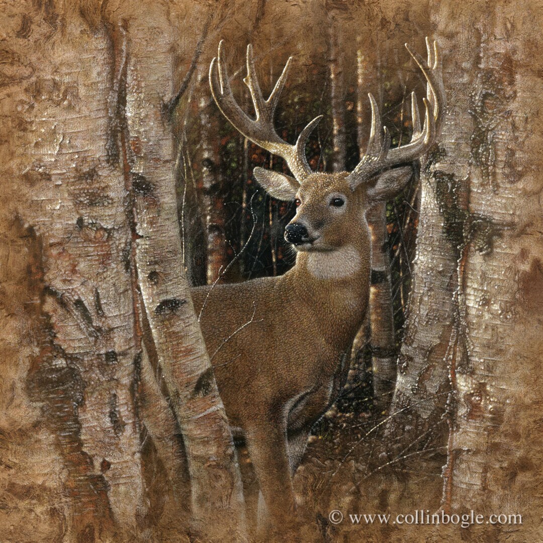 Deer Art, Deer Print, Deer Painting, Whitetail Buck, Wildlife Art ...