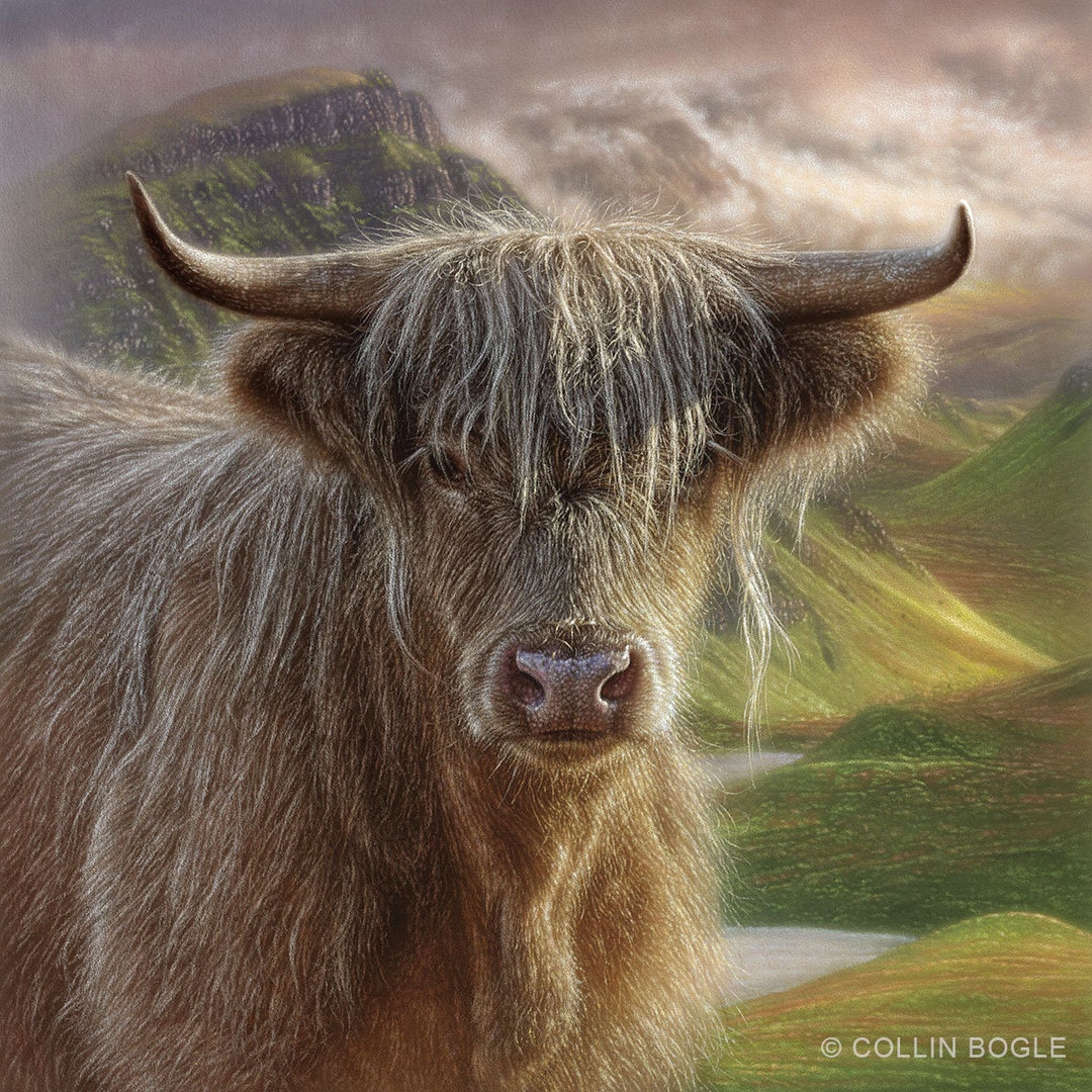Highland Cow Painting, Highland Cattle Art Print, Highland Calf Wall ...