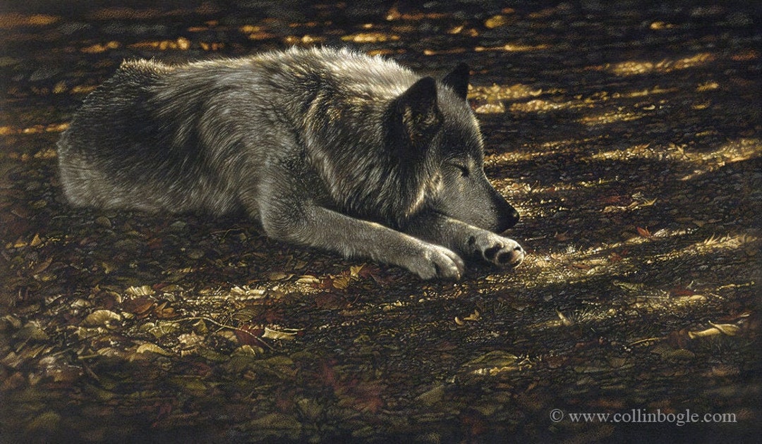Wolf Art Print, Wolf Painting, Grey Wolves, Wildlife Art, Animal ...