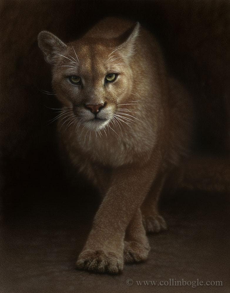 Cougar Painting, Cougar Art Print, Mountain Lion, Puma Cat, Panther ...