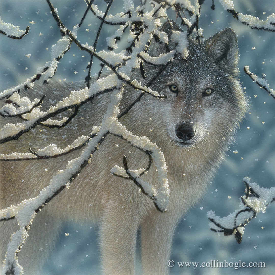 Winter Wolf Painting, Wolf in Snow, Wolf Wall Art, Grey Wolf Artwork ...