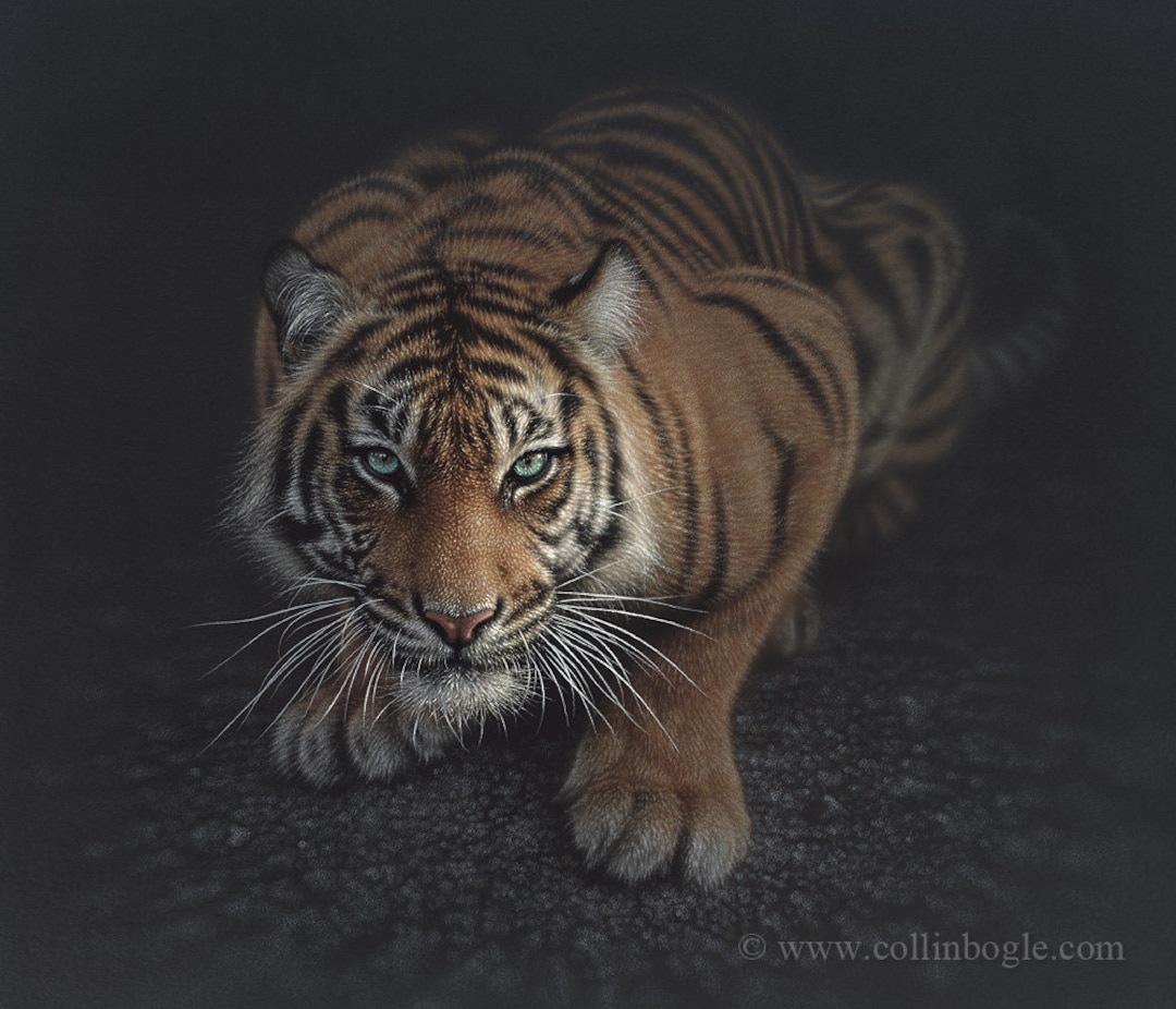 Crouching Tiger Painting, Prowling Tiger Wall Art, Tiger Hunting Print ...