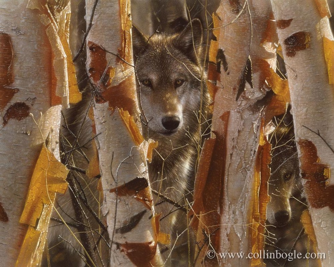 Wolf Print, Wolf Art, Painting of Wolves, Wildlife Art, Animal Portrait ...