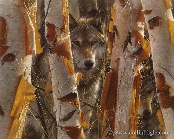 Wolf Camouflage