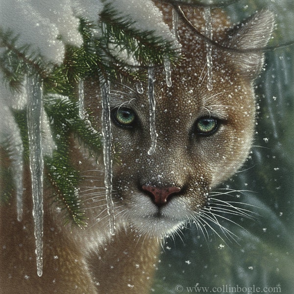 Mountain Lion Art - Etsy