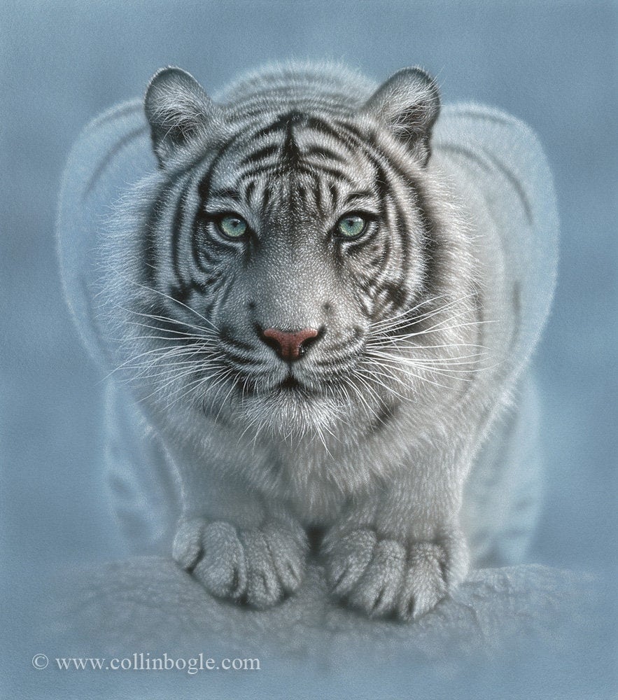 Weißer Tiger Kunstdruck, Weißer Tiger Gemälde, große Katze, Wildtier ...