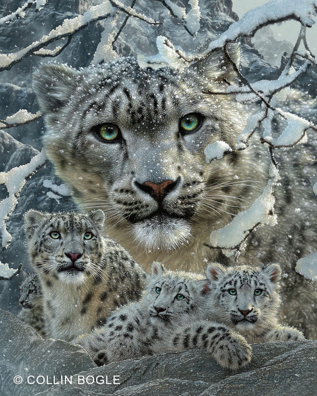 Snow Leopard Art Print, Snow Leopard Painting, Collage of Snow Leopards ...