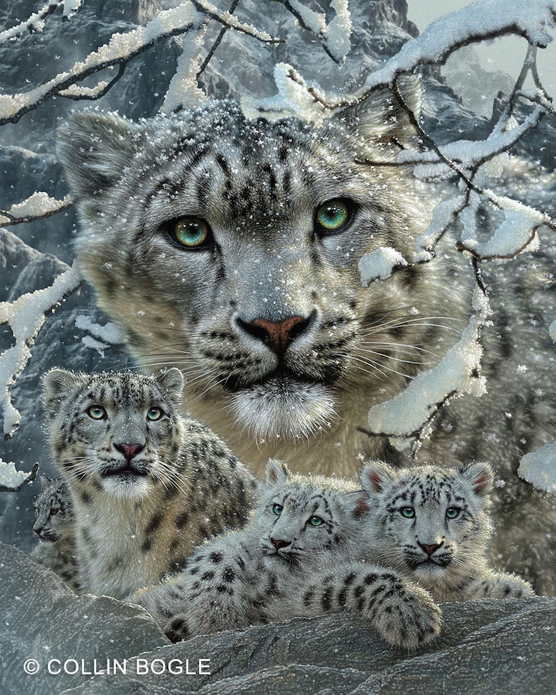 Snow Leopard Art Print, Snow Leopard Painting, Collage of Snow Leopards ...