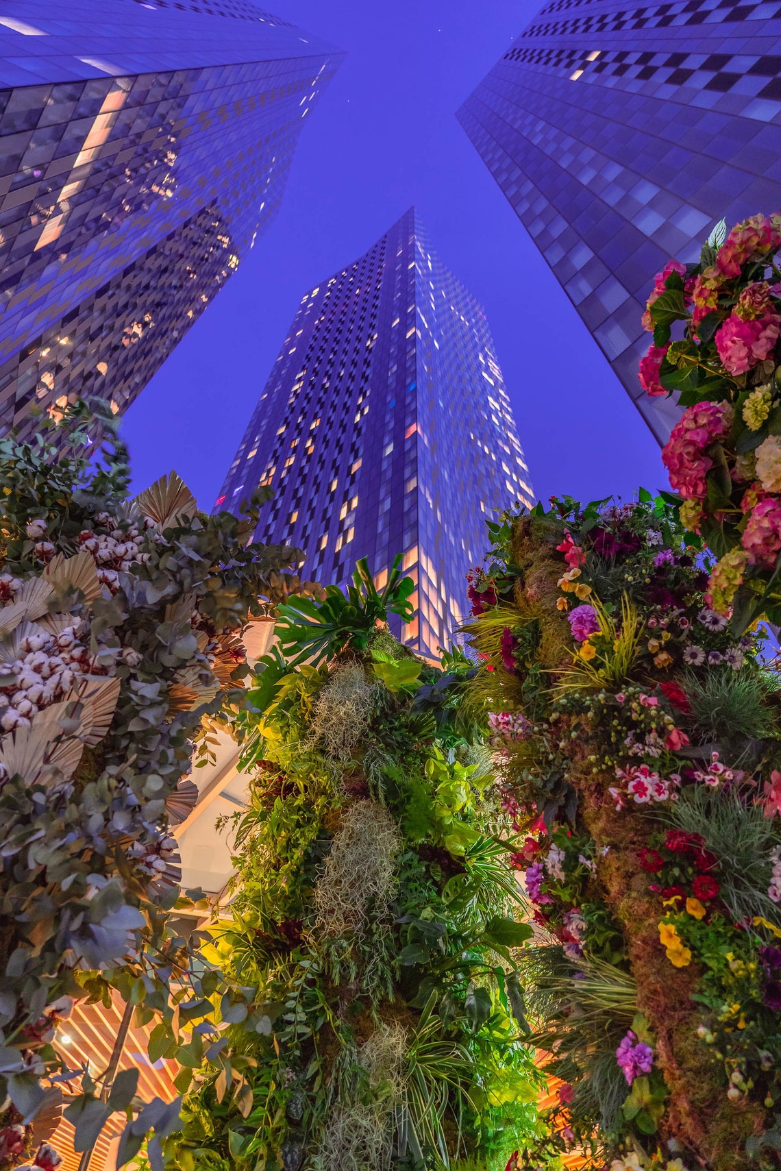 Manchester Flower Show 2021 at Deansgate Square Skyscrapers City ...