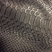 Wallpaper Gray Textured Snake Skin Wall Art Mural - Etsy