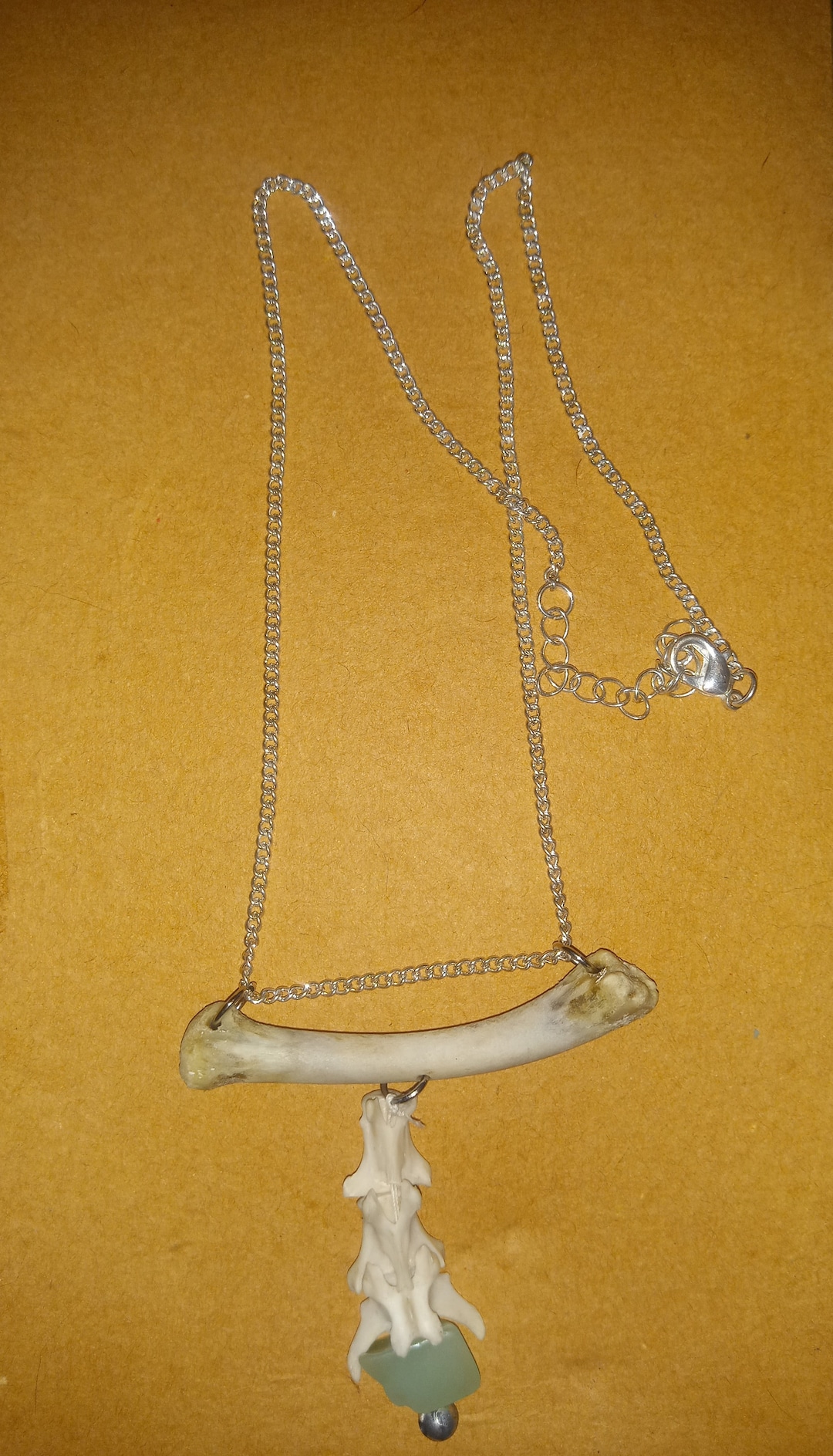 Pendant With Bone and Vertebrae - Etsy
