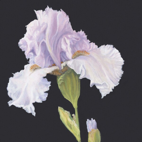 Purple Iris Print - Etsy