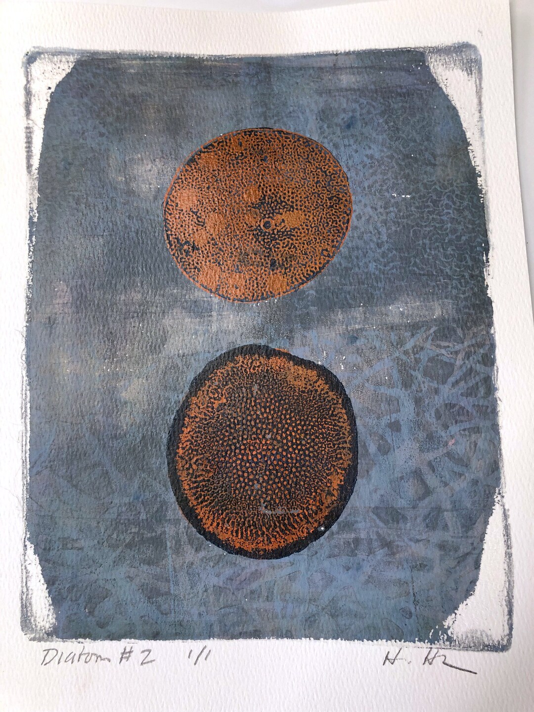 Diatom #2 in Charcoal/rust: Microscope Monotype Series, Multi-layer ...
