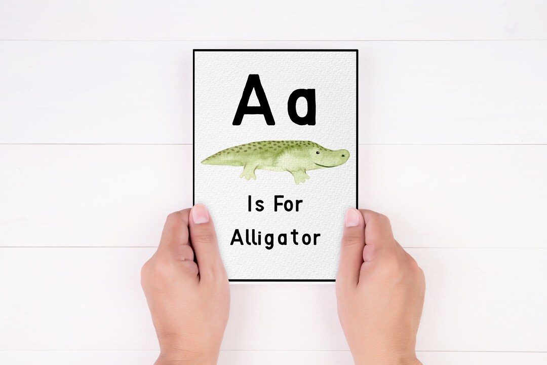 Alphabet Watercolour Animal Flash Cards - Etsy