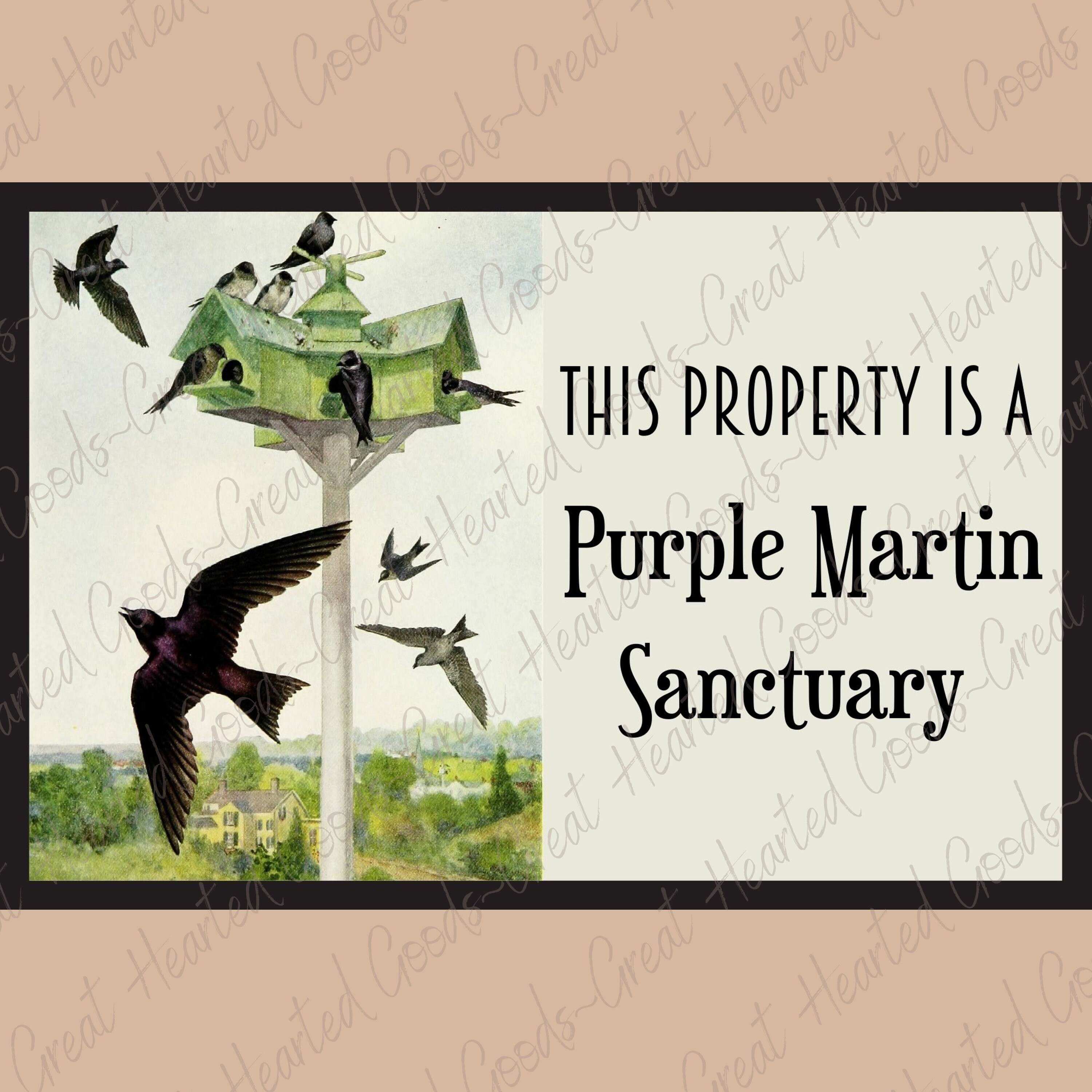 Purple Martin Yard Sign, Vintage Purple Martin Art, Purple Martin ...