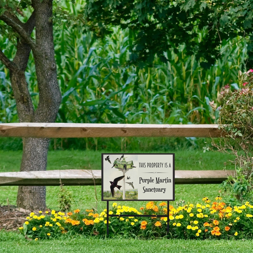 Purple Martin Yard Sign, Vintage Purple Martin Art, Purple Martin ...