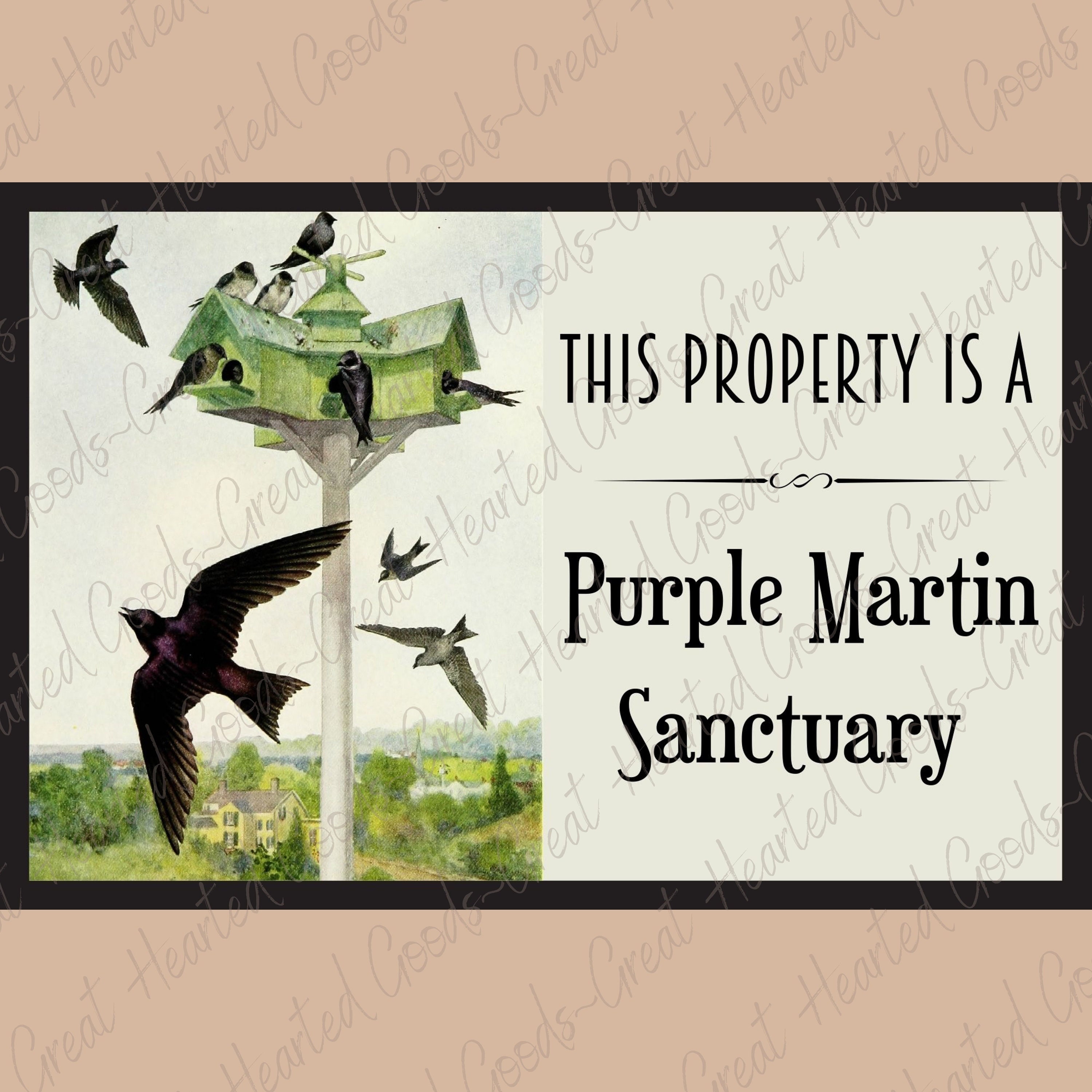 Purple Martin Yard Sign, Vintage Purple Martin Art, Purple Martin ...