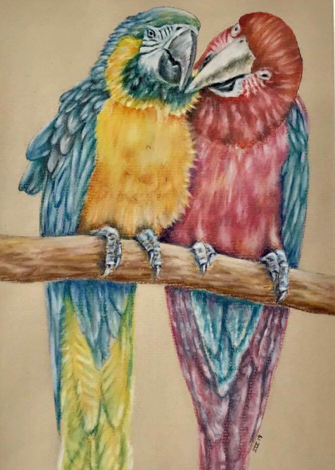 Loro pintura pastel, impresión tamaño A4 - Etsy España