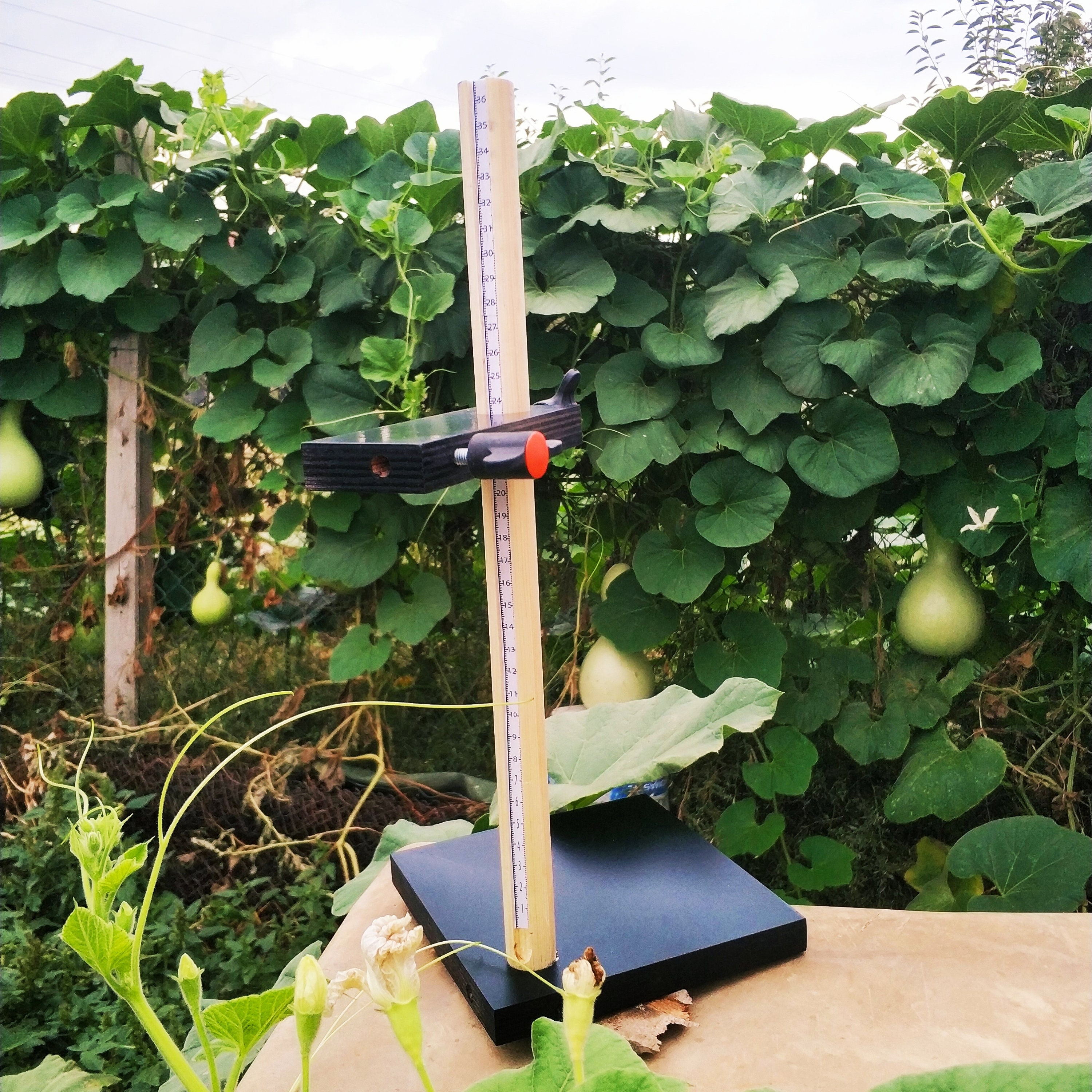 Gourd Drawing Tool - Etsy