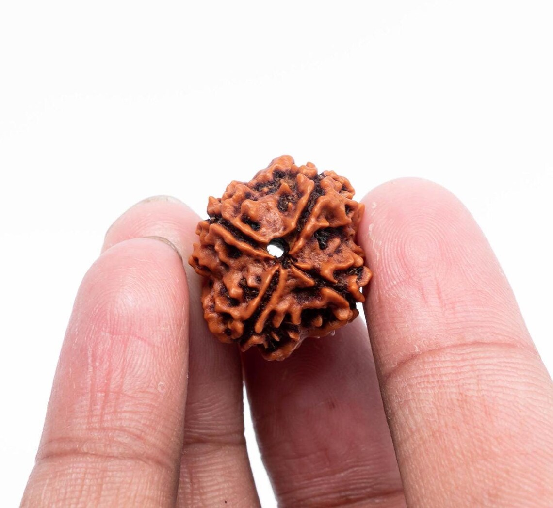 Authentic 4 Mukhi Nepali Rudraksha Bead: Sacred Meditation Tool - Etsy