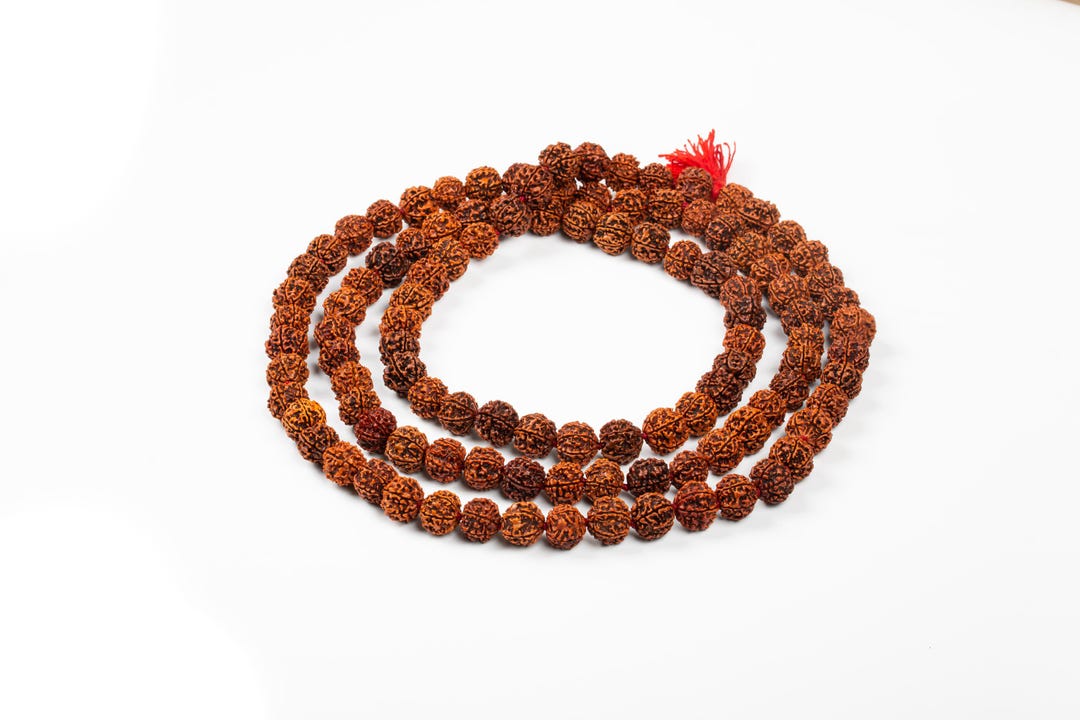 Authentic 5 Mukhi Nepali Rudraksha Beads: Sacred Mala for Meditation ...