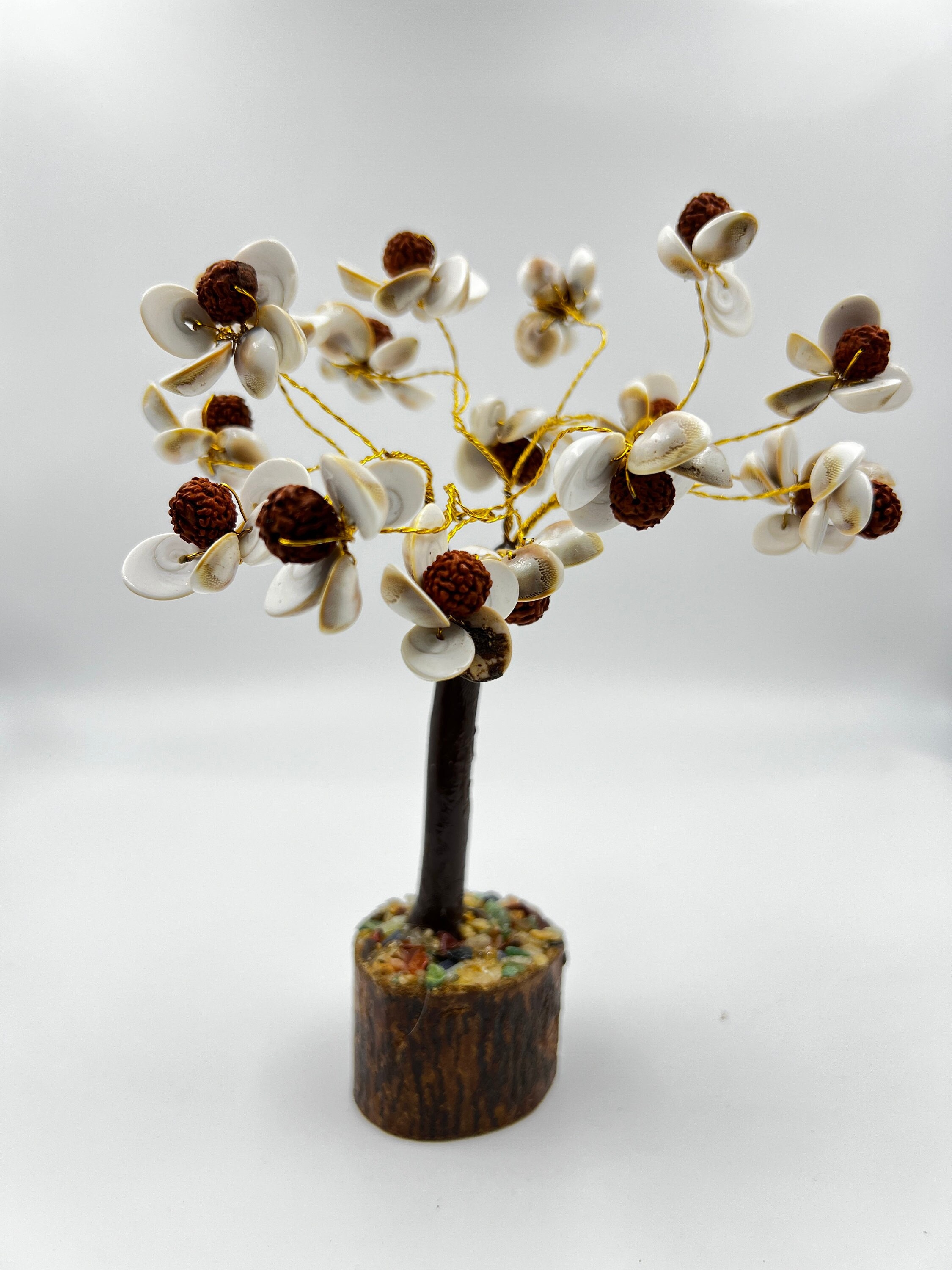 Gomti Chakra Rudraksh Tree |shiva Eye Tree of Life for Protection for ...