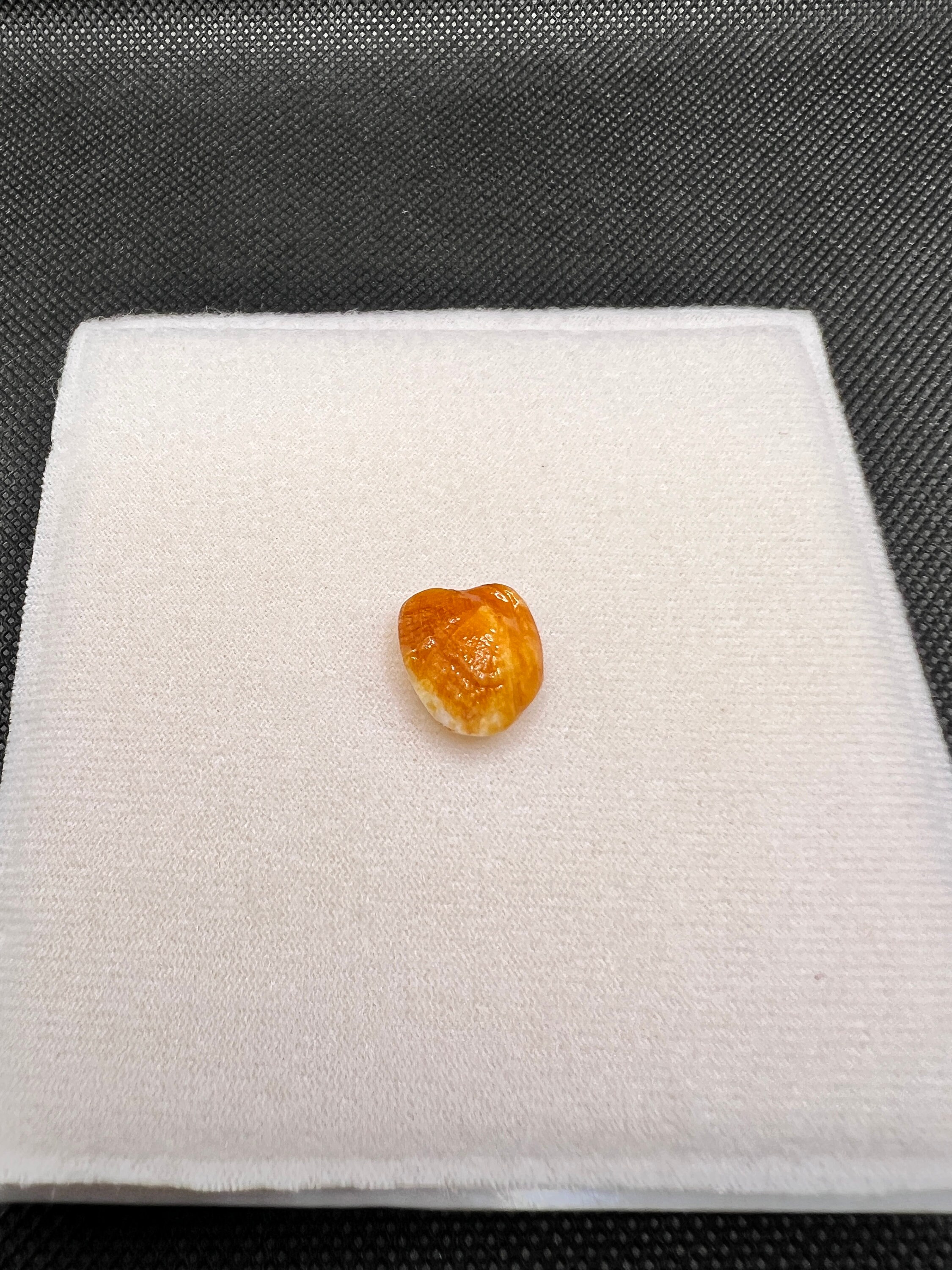 Natural Macch Mani Stone: Lab Certified Fish Pearl Pendant - Etsy