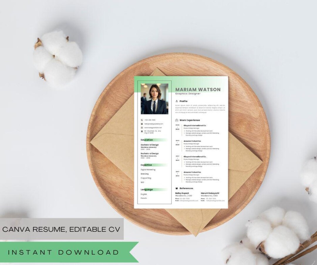 Editable Professional CV Template | Canva Resume for Instant Download ...